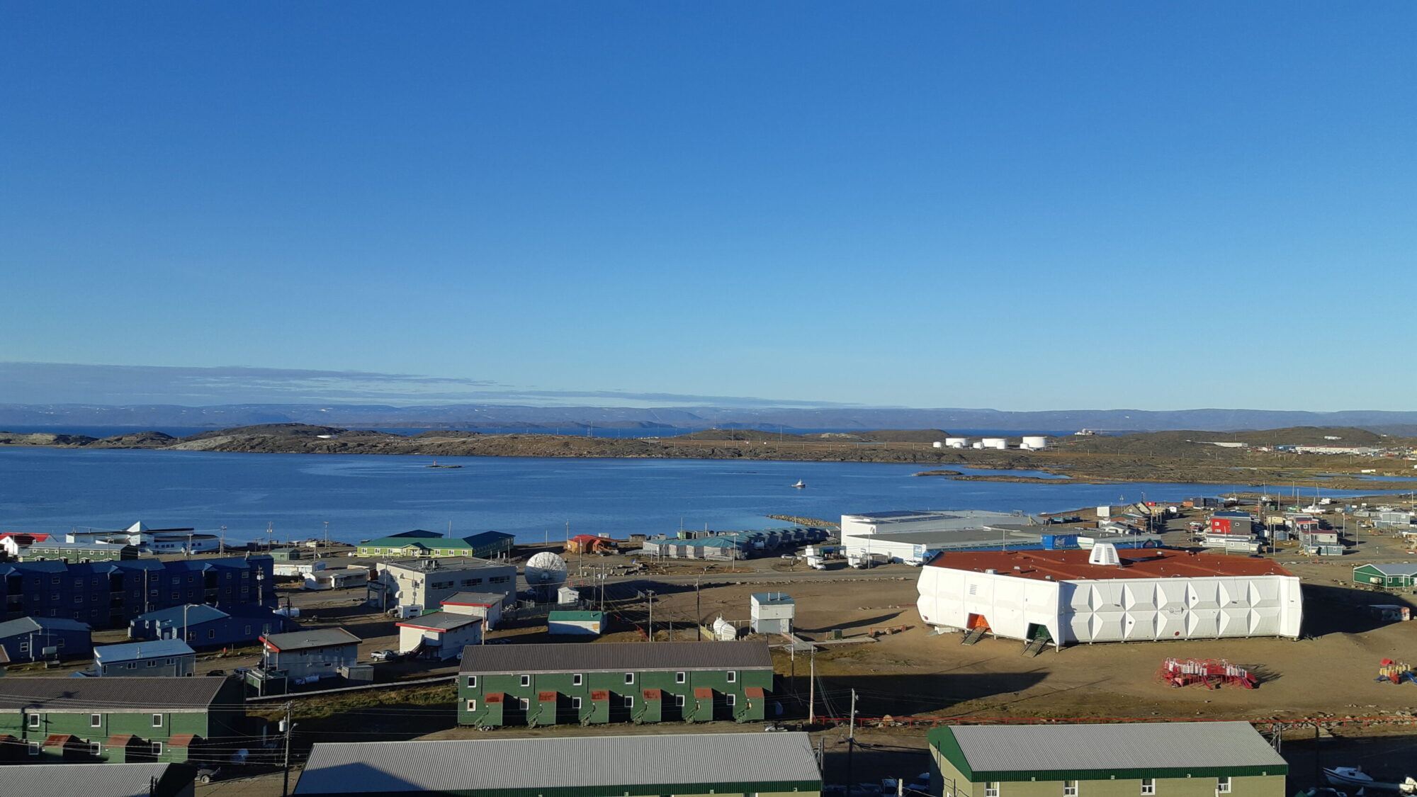 Arctic Predator – Kathleen Lippa